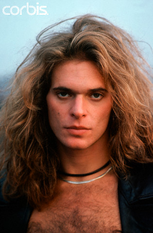 Picture of David Lee Roth