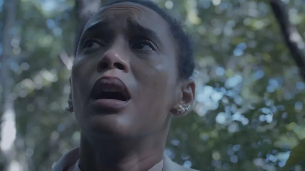 Picture of Executive Order