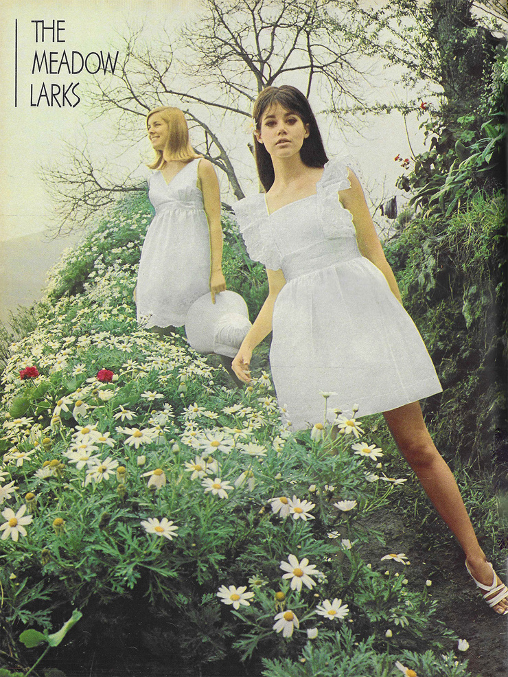 Picture of Colleen Corby