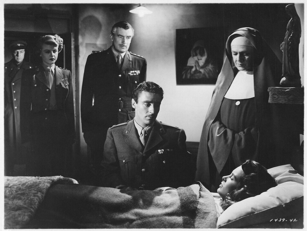 Picture of The Red Danube