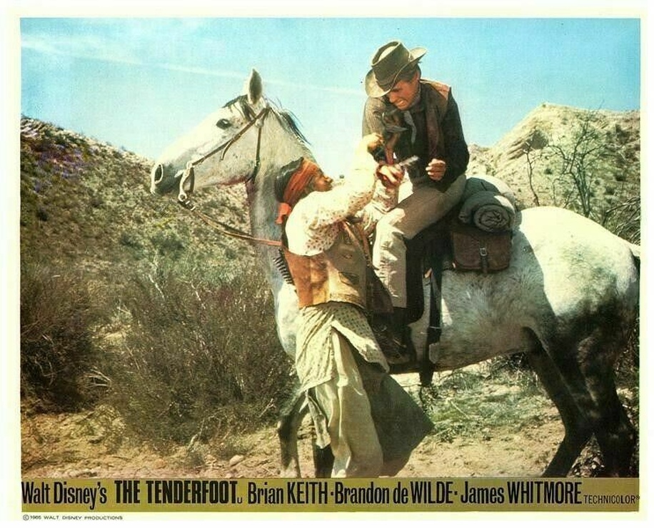 Image of Walt Disney's Wonderful World of Color