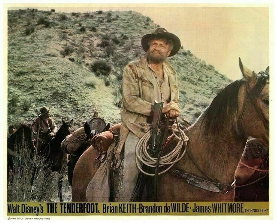 Picture of Walt Disney's Wonderful World of Color