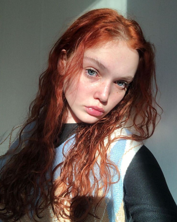 Picture of Viola Koves