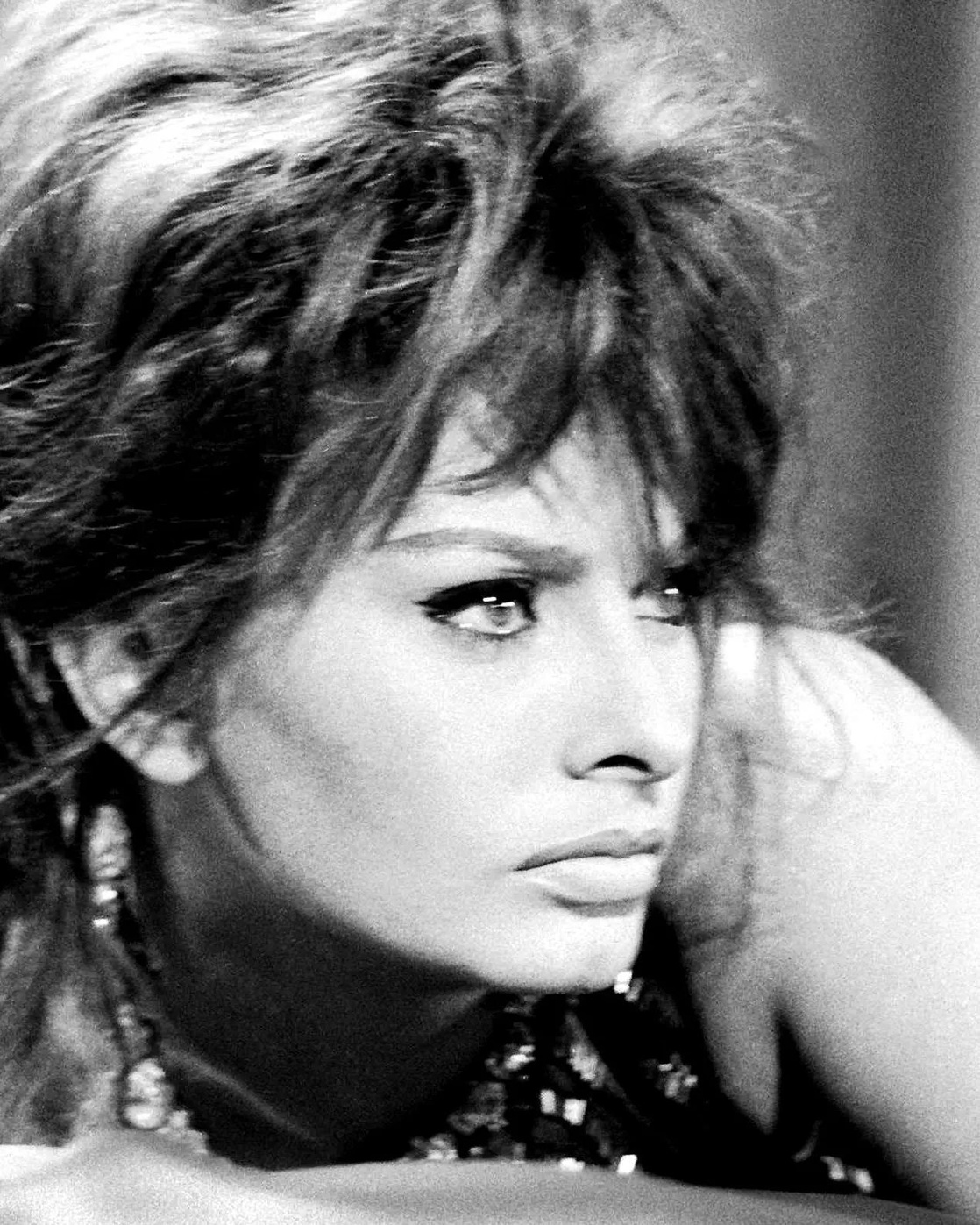 Sophia Loren image