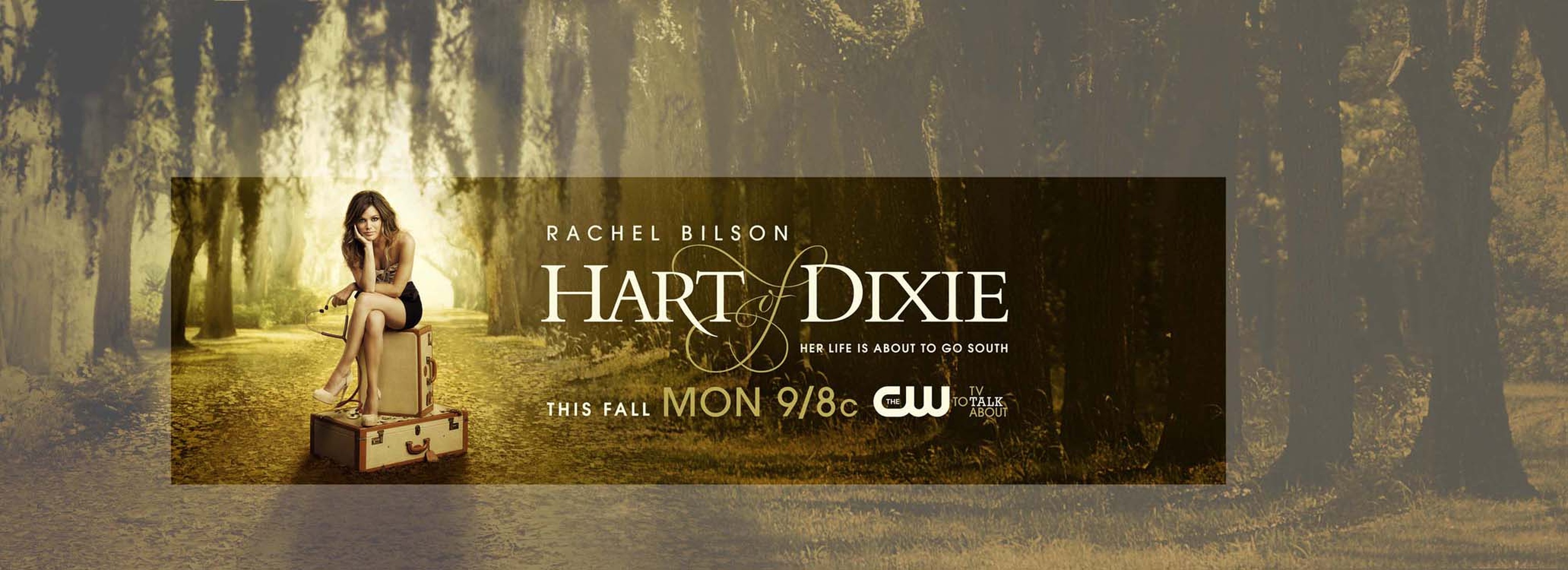 Picture of Hart of Dixie
