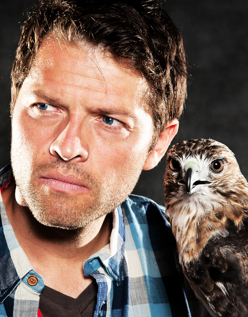 Misha Collins image