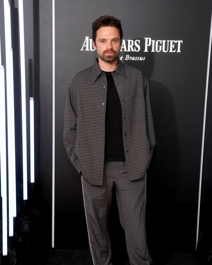 Sebastian Stan image