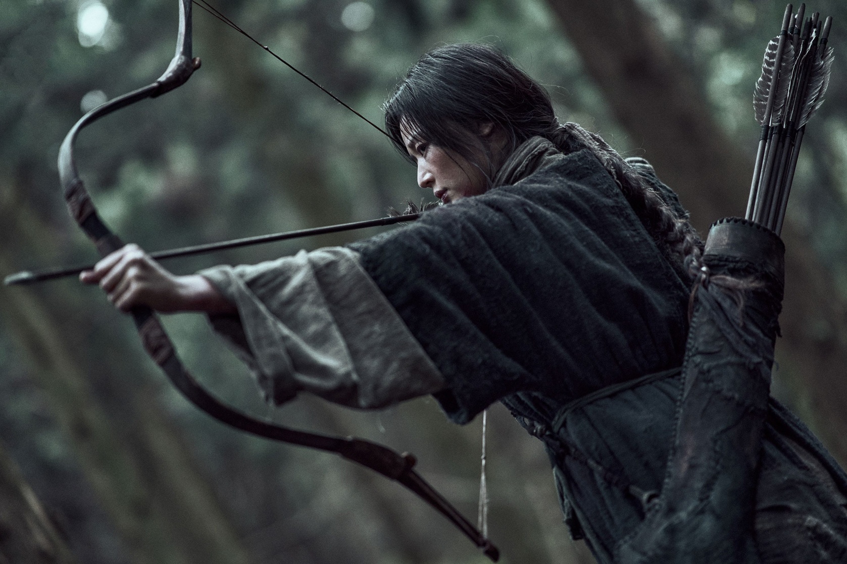 Picture of Kingdom: Ashin of the North