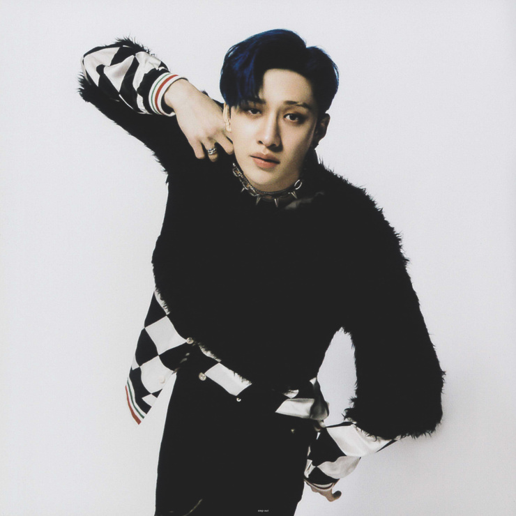 Picture of Bang Chan