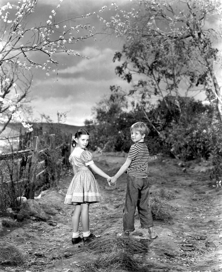 Our Vines Have Tender Grapes image