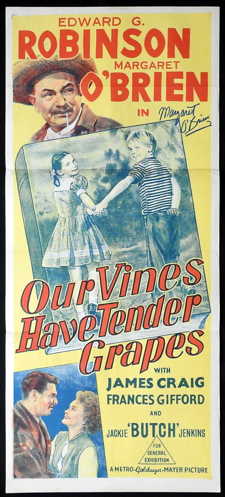 Picture of Our Vines Have Tender Grapes