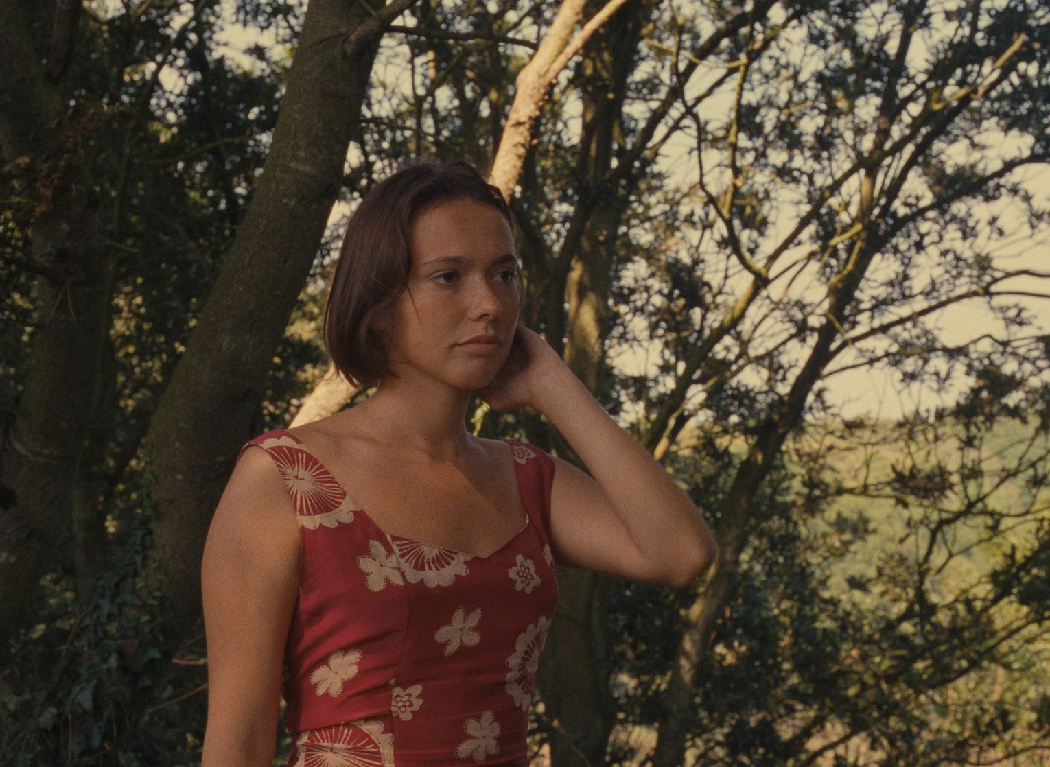 Picture of A Summer's Tale