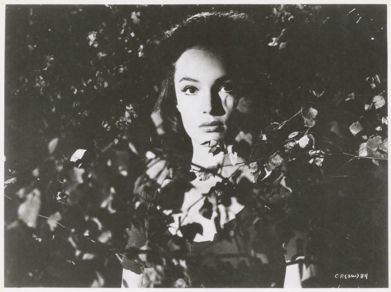 Susan Travers