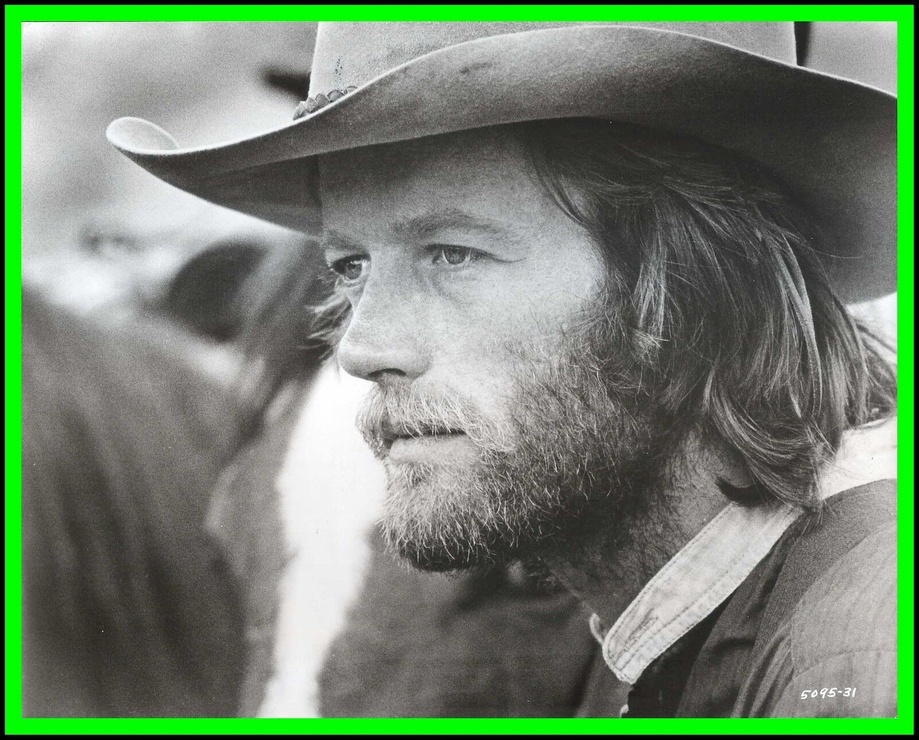 Picture of Peter Fonda