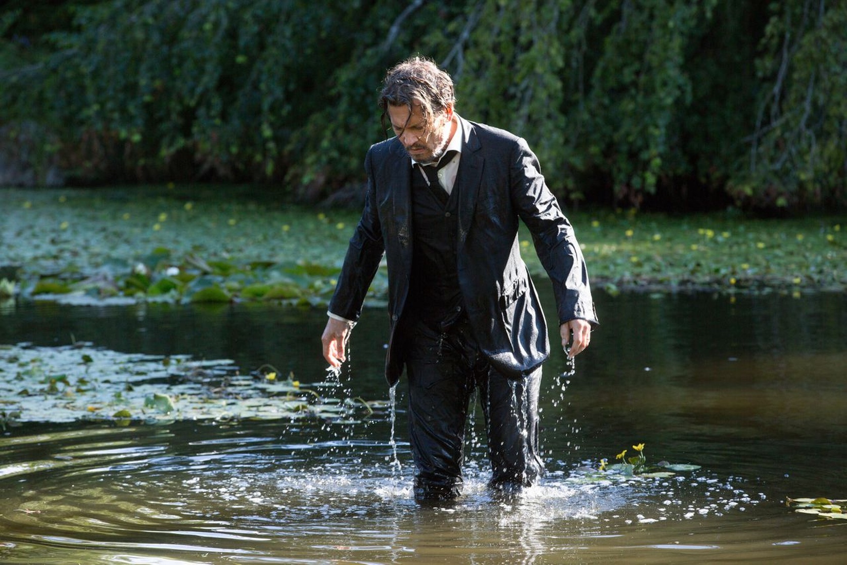 Picture of The Professor