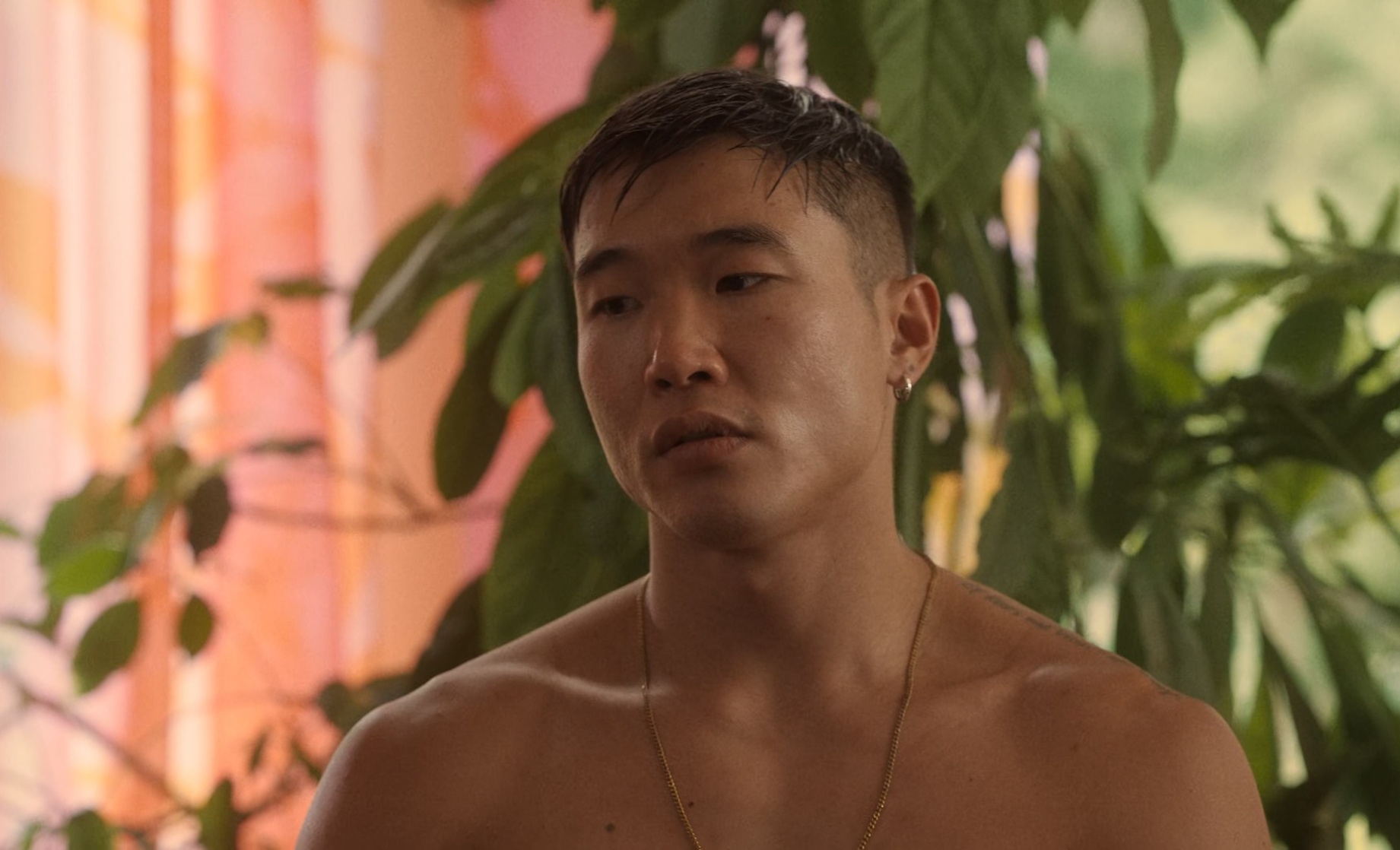 Picture of Fire Island