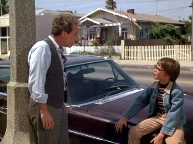 Picture of The Buddy System