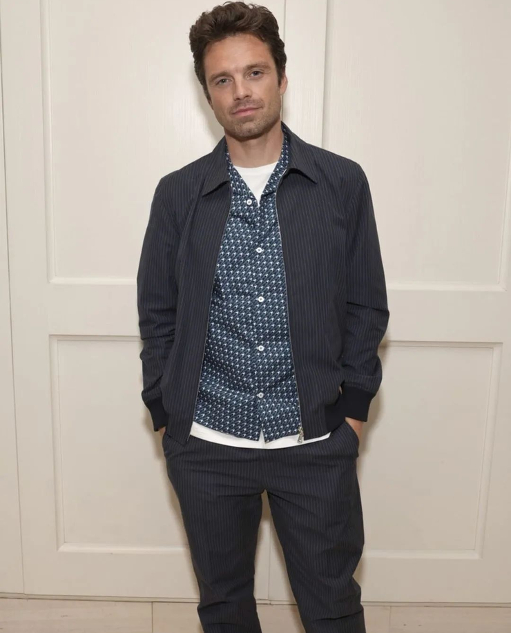 Sebastian Stan image