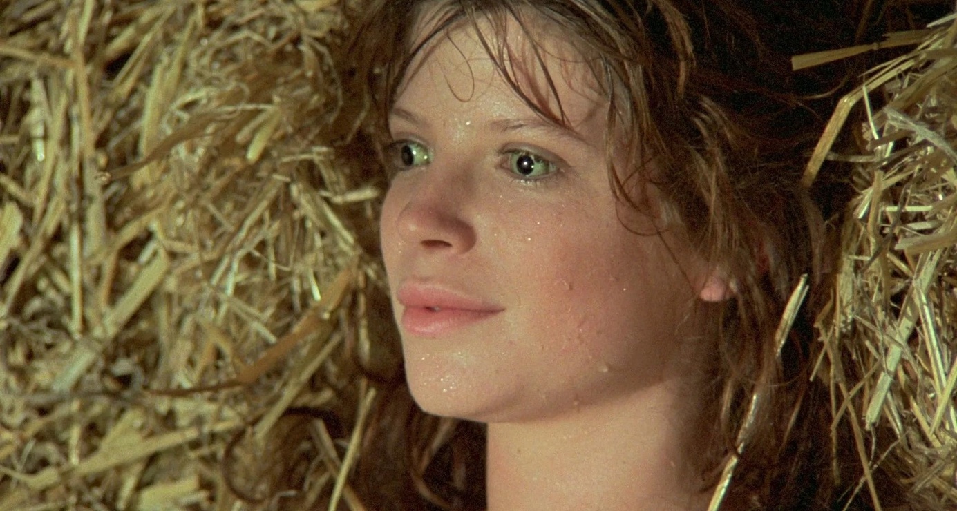 Image of The Howling III