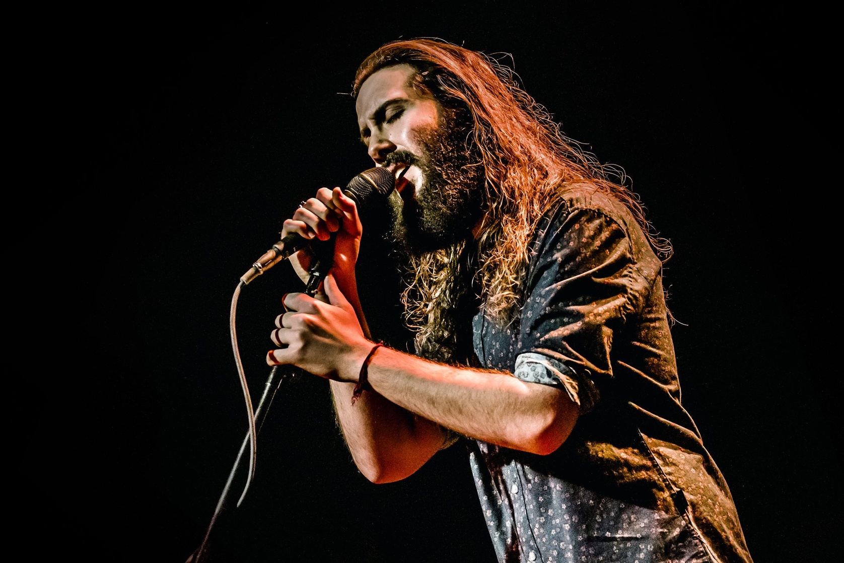 Picture of Avi Kaplan