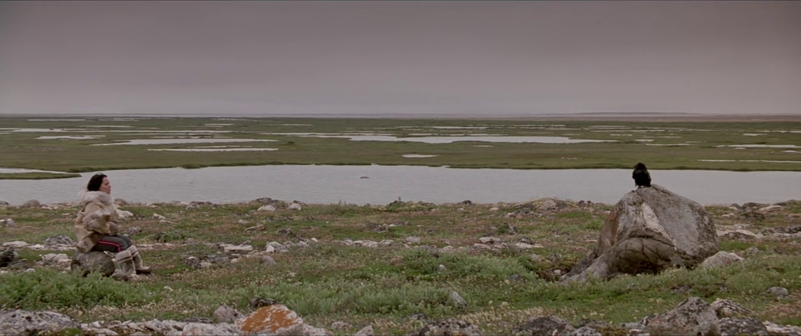 Picture of The Snow Walker