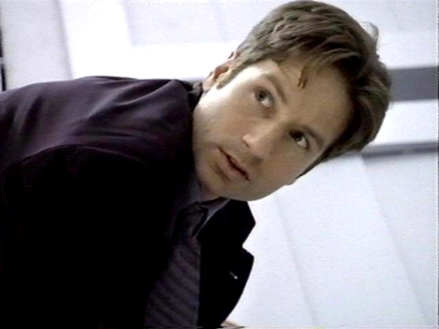 Picture of The X Files