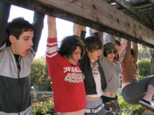 Picture of Heavy Heavy Low Low