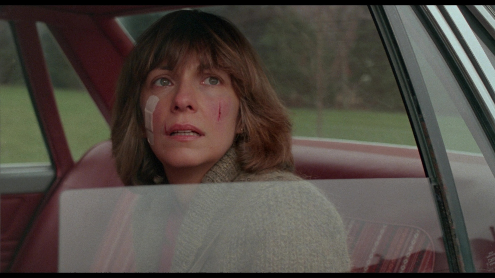 Picture of Scream for Help