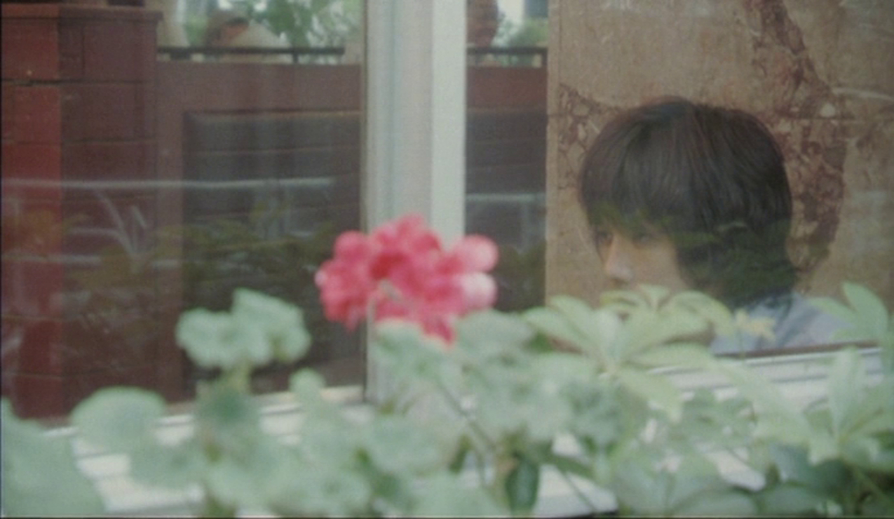 Picture of Tokyo.Sora