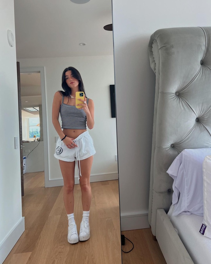 Picture of Charli D'Amelio