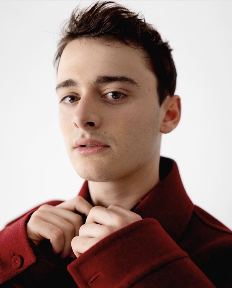 Picture of Noah Schnapp