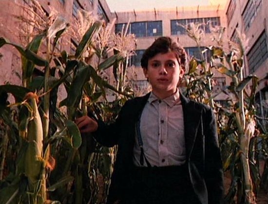 Eli wanders the rows