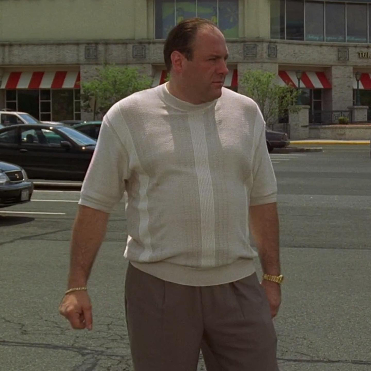 Picture of The Sopranos