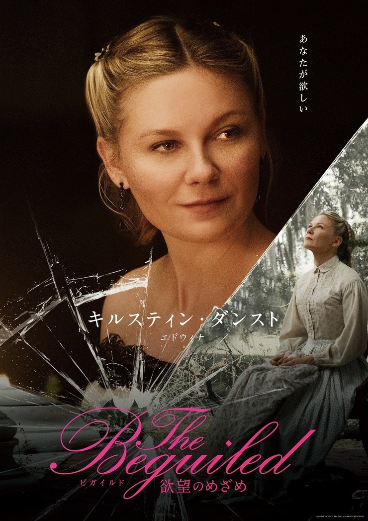 Picture of The Beguiled