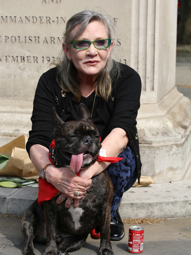 Picture of Gary the Dog