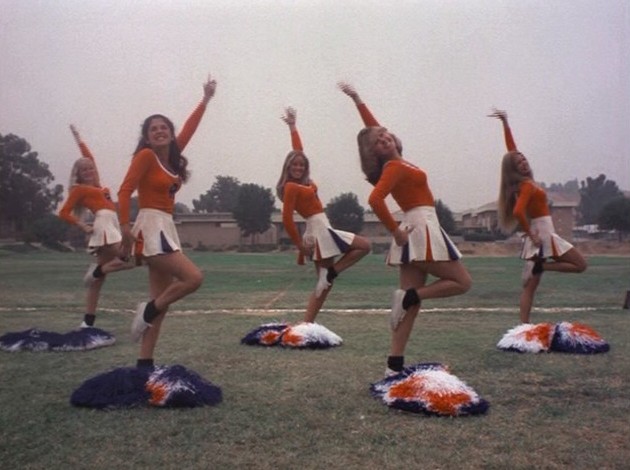 Picture of The Pom Pom Girls