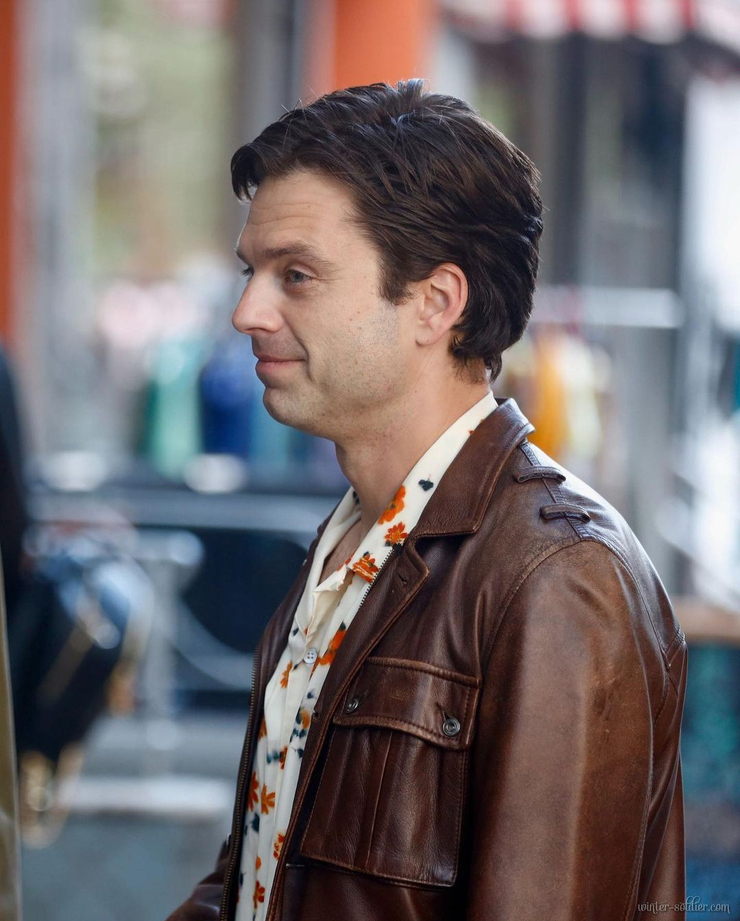 Sebastian Stan image