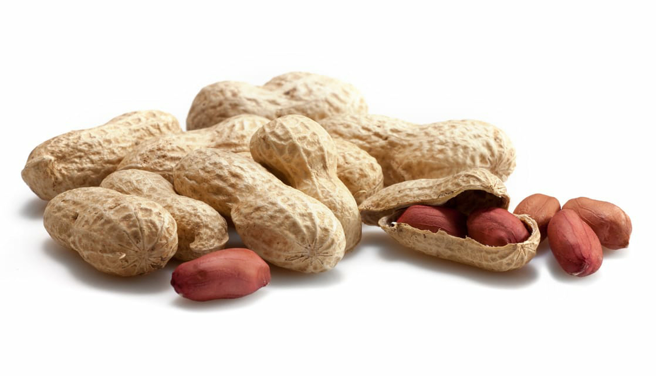 Peanut image