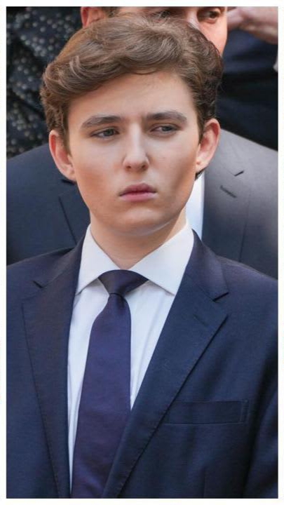Picture of Barron Trump