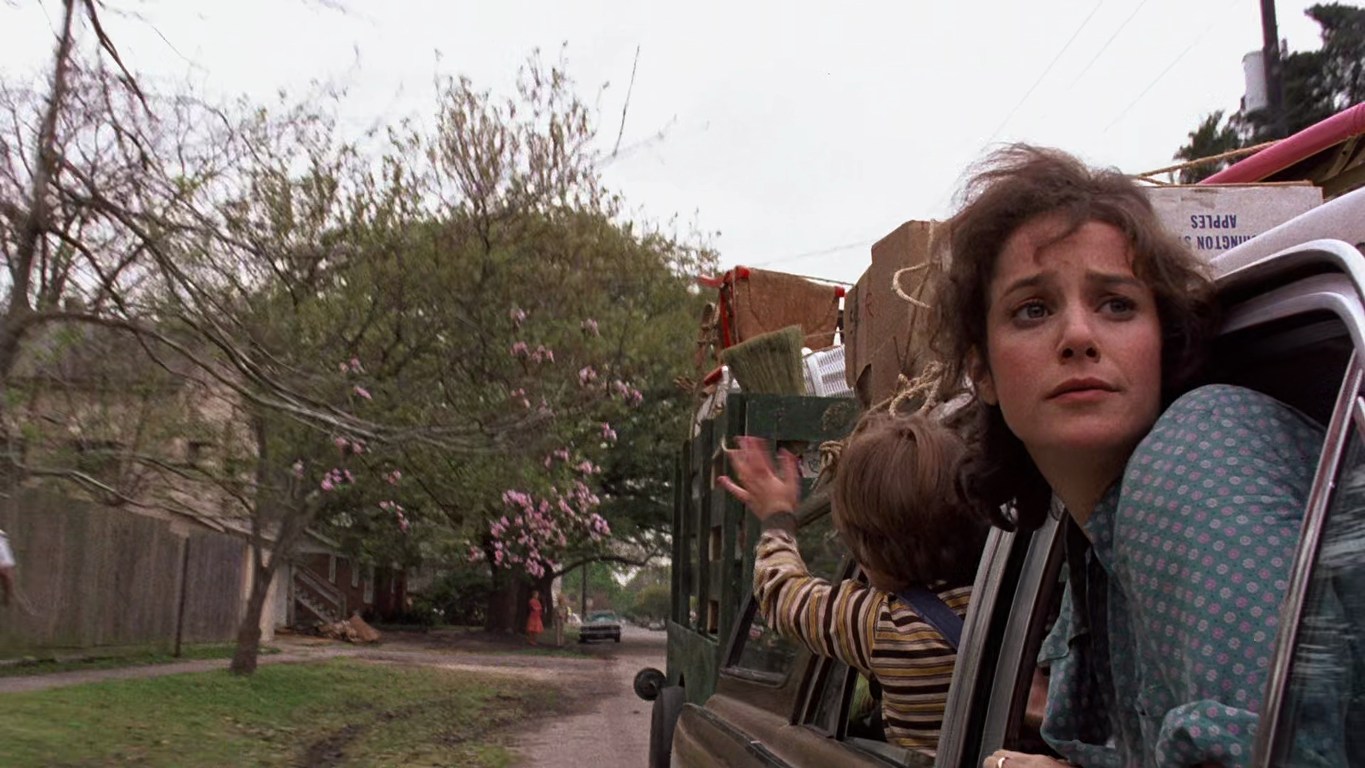 Picture Of Terms Of Endearment 1983