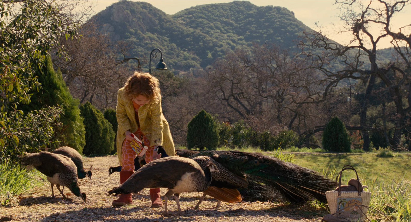 We Bought a Zoo picture