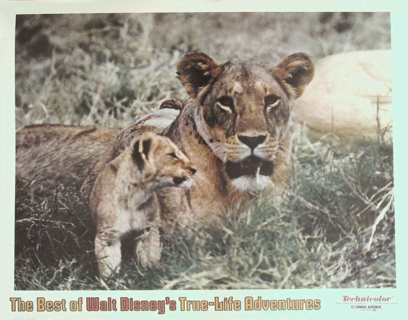 Picture of The Best of Walt Disney's True-Life Adventures