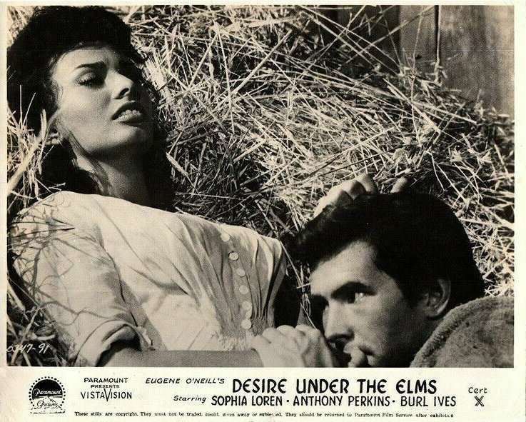 Picture of Desire Under the Elms (1958)