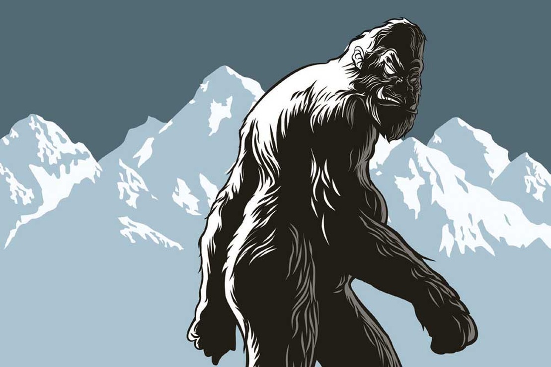 Image of Yeti