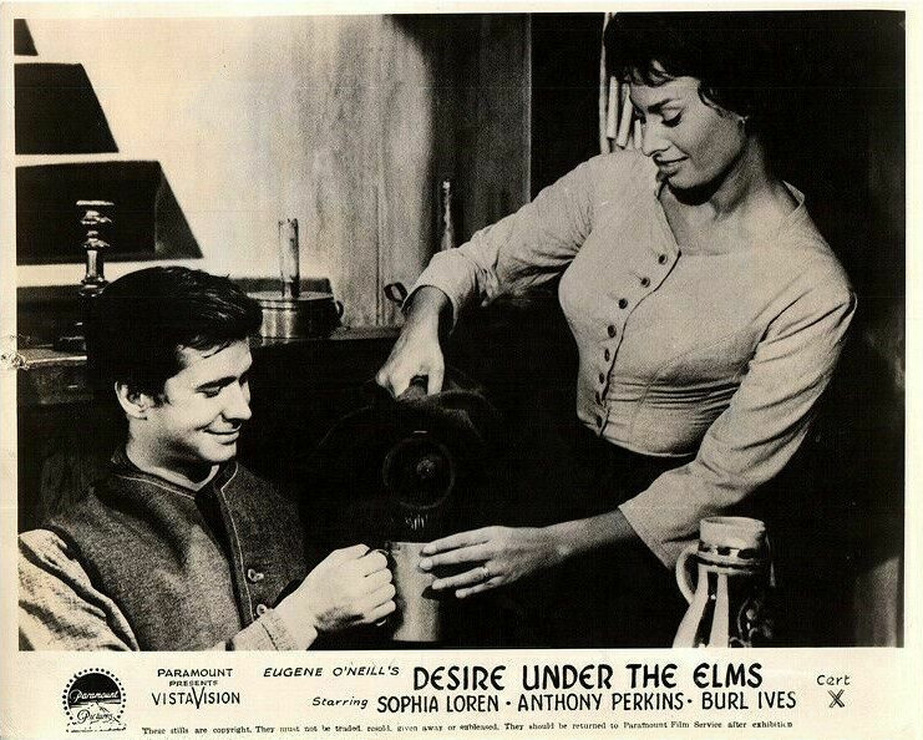 Image of Desire Under the Elms (1958)