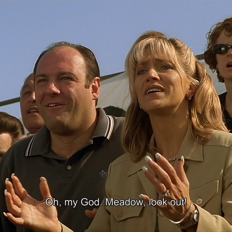 Picture of The Sopranos