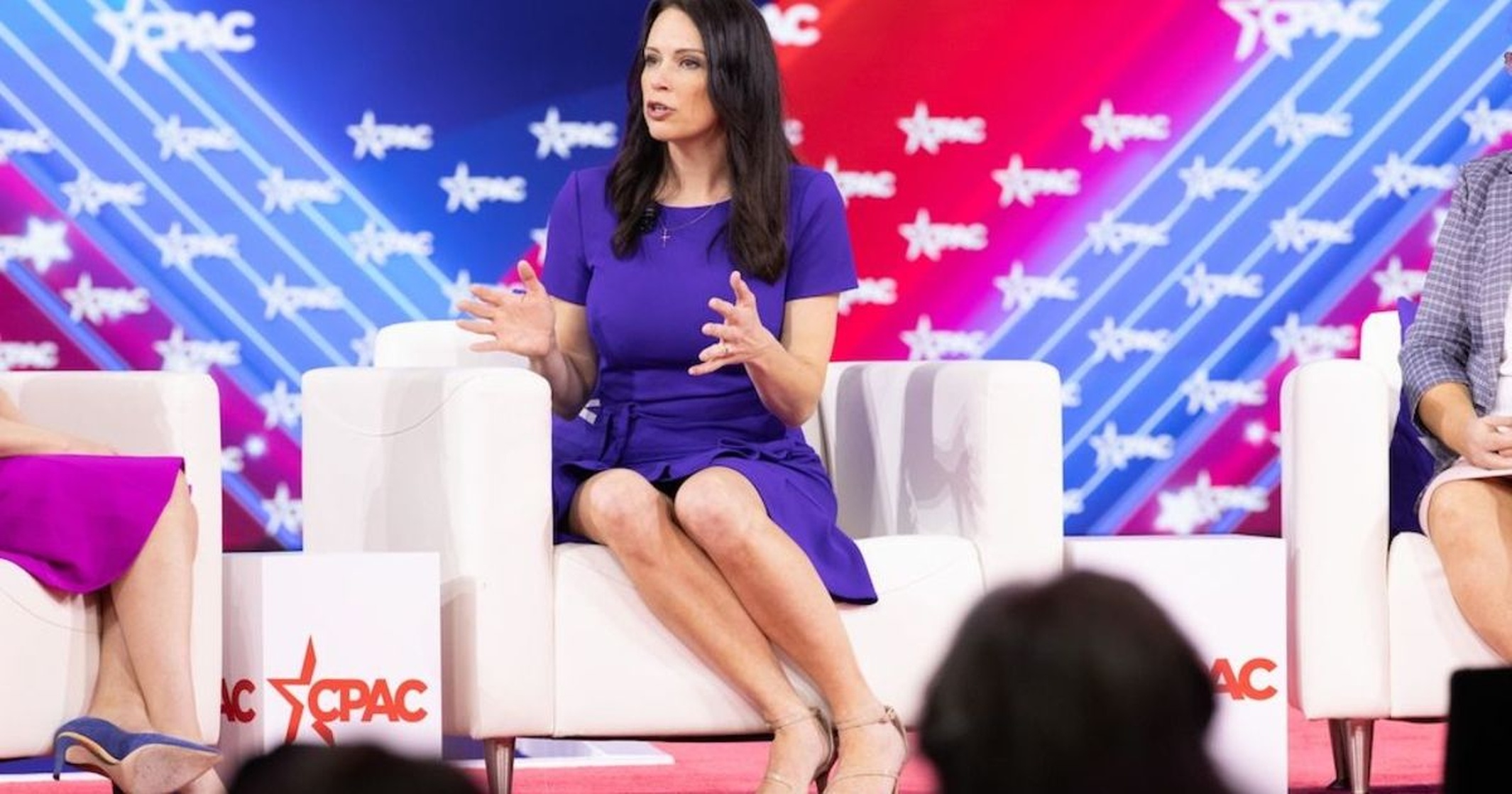 Picture of Tudor Dixon