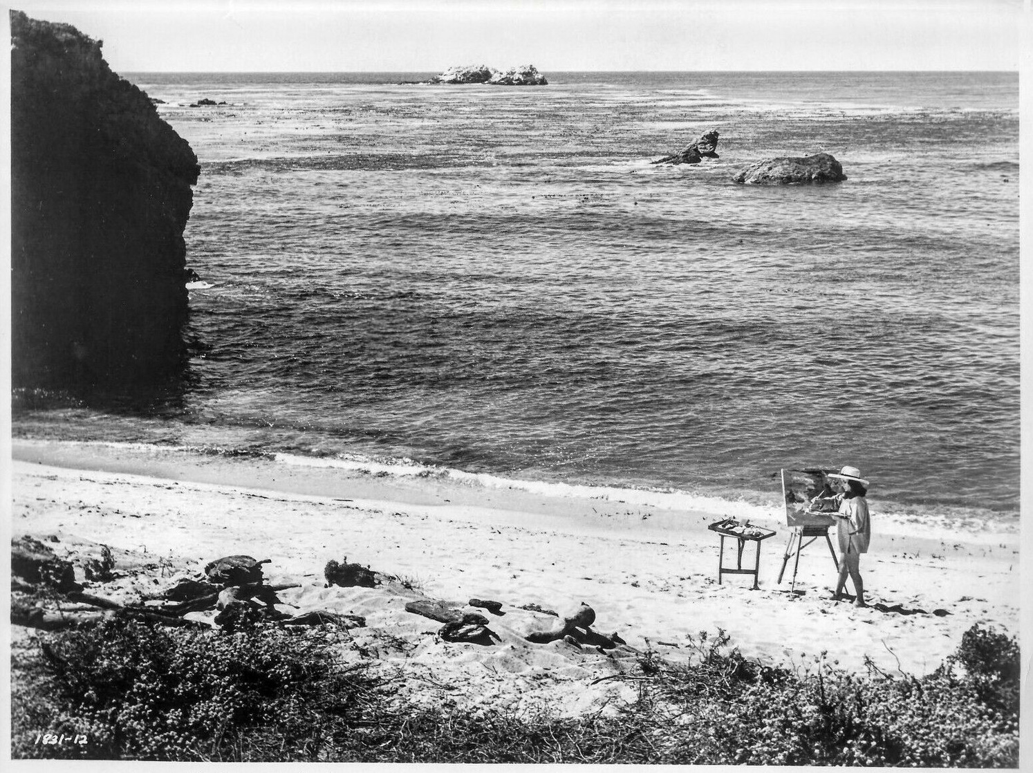 Picture of The Sandpiper