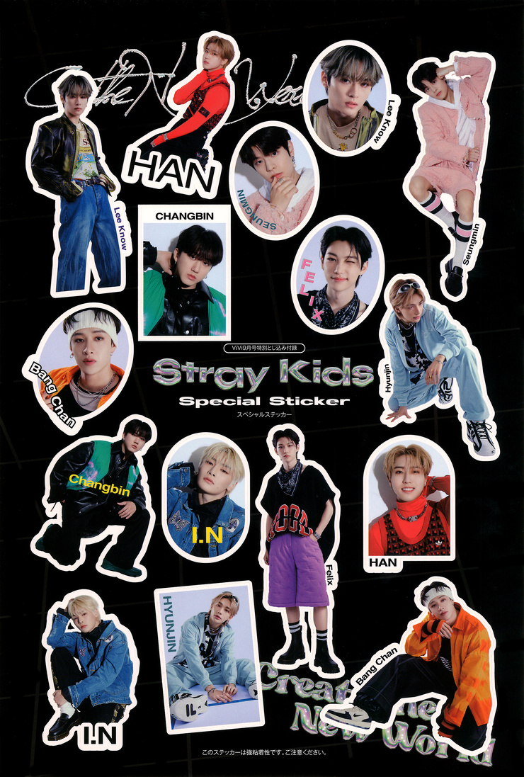 Picture of Stray Kids