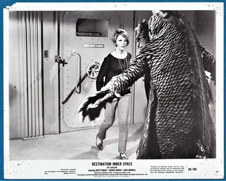 Picture of Destination Inner Space